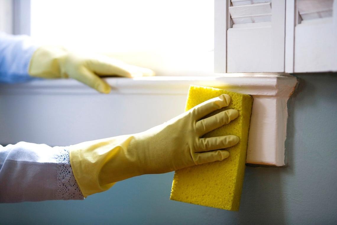 Step-By-Step Guide to Removing Mold from Walls | All Dry USA