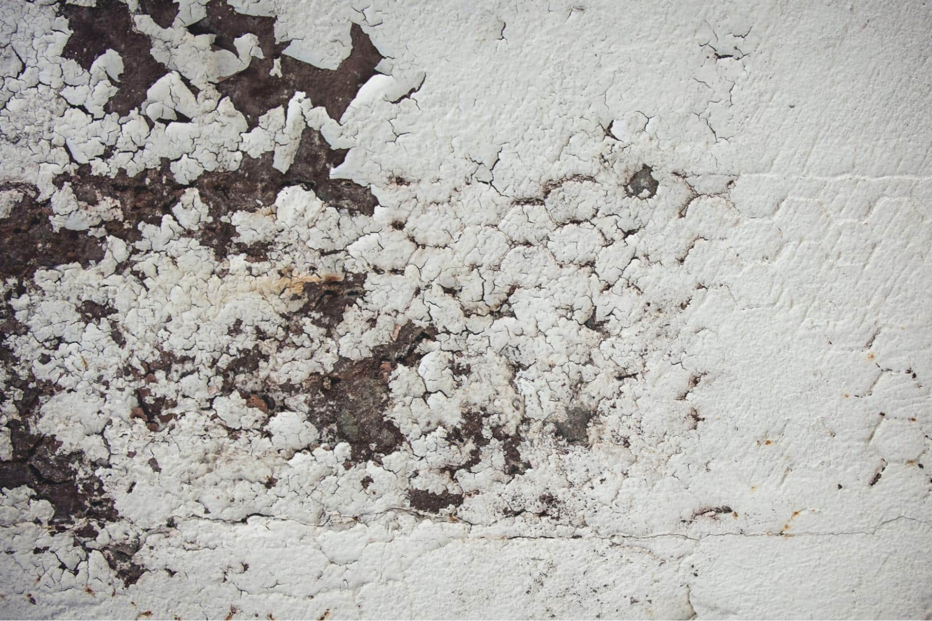 Step-By-Step Guide to Removing Mold from Walls | All Dry USA